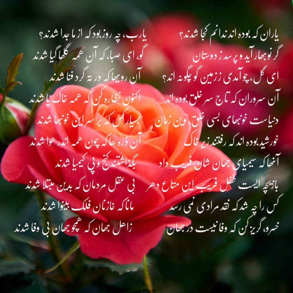 Friends that were... a poem by Amir Khusrau ~ Lote Tree Press